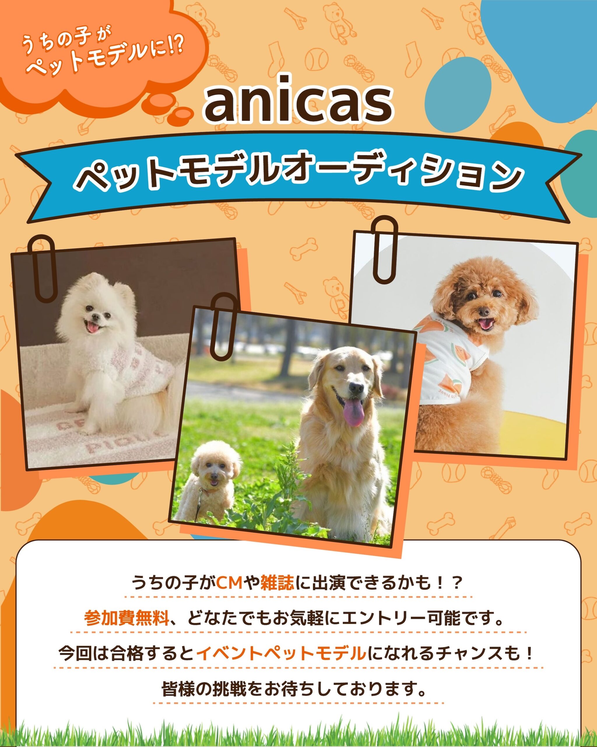 今週末よりいよいよ開催！「ジャパンわんこフェスタ2024 in お台場」 | UUUM株式会社（ウーム株式会社）